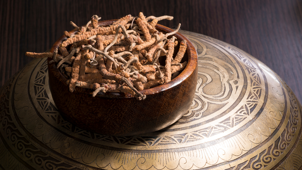Cordyceps Sinensis vs Militaris: The Benefits & Differences