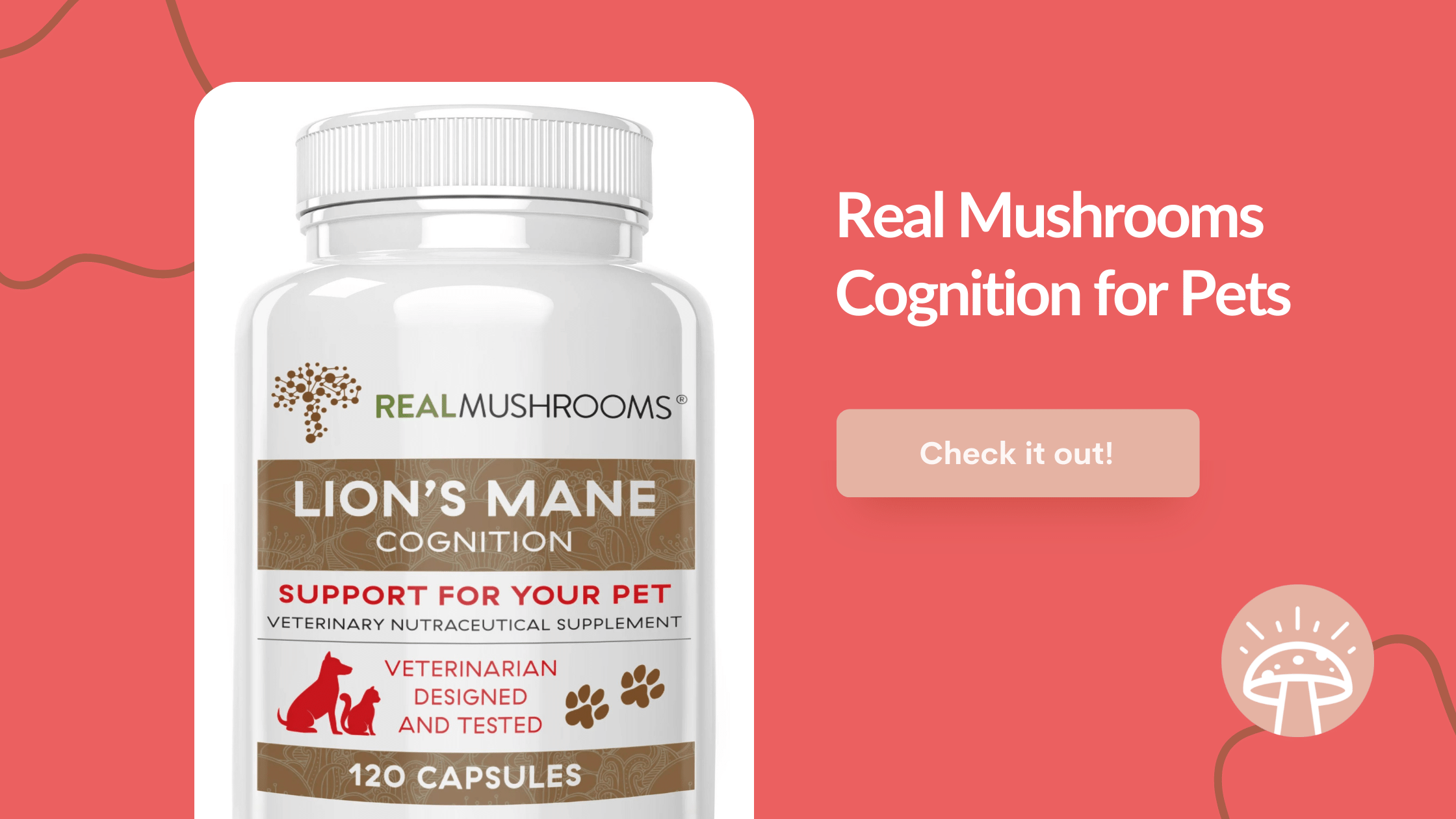 How to Give Lion's Mane Mushrooms to Your Dog (Dosage & Benefits Guide)