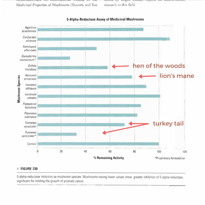 Does Lion's Mane Lower Testosterone and Libido? The Truth.