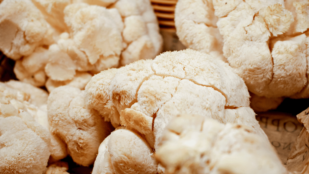 How to Use Lion's Mane for ADHD | The Science-Backed Guide