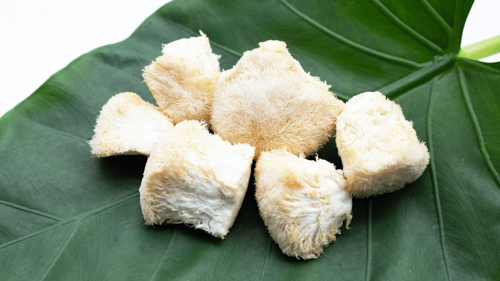 The Best Time of Day to Take Lion's Mane: What Research Says