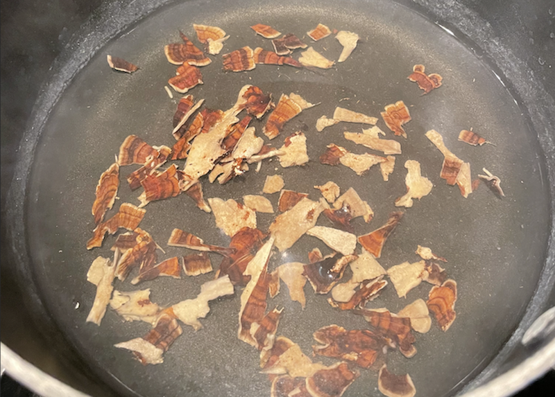 How to Prepare Turkey Tail Mushrooms | Complete Guide w/ Pictures