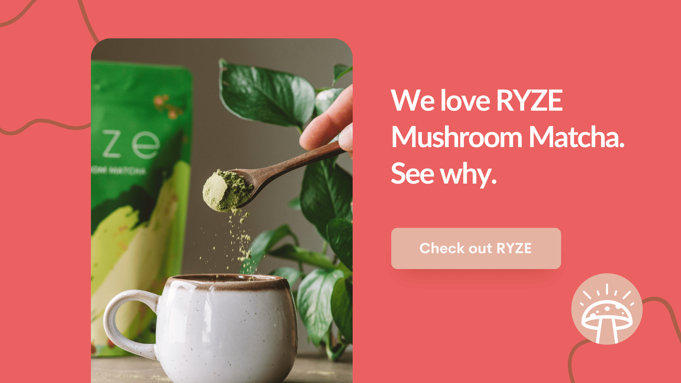 What is Mushroom Matcha? The Complete Benefits & Buyer's Guide