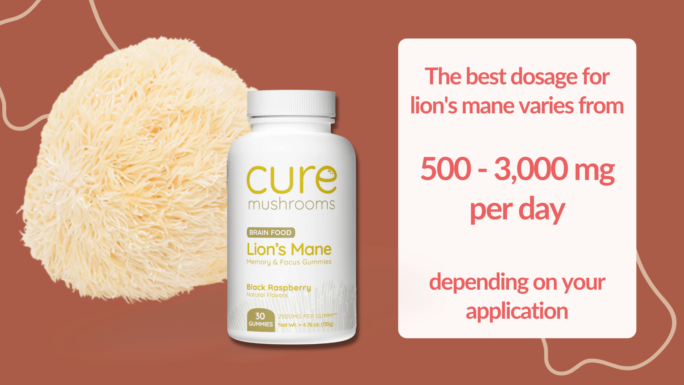 The Most Complete Lion's Mane Dosage Guide | Remeday